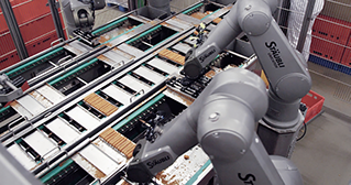 Primary packaging of fish sticks | Stäubli United States